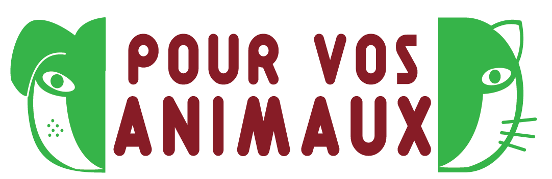 Accueil - Appro & Services